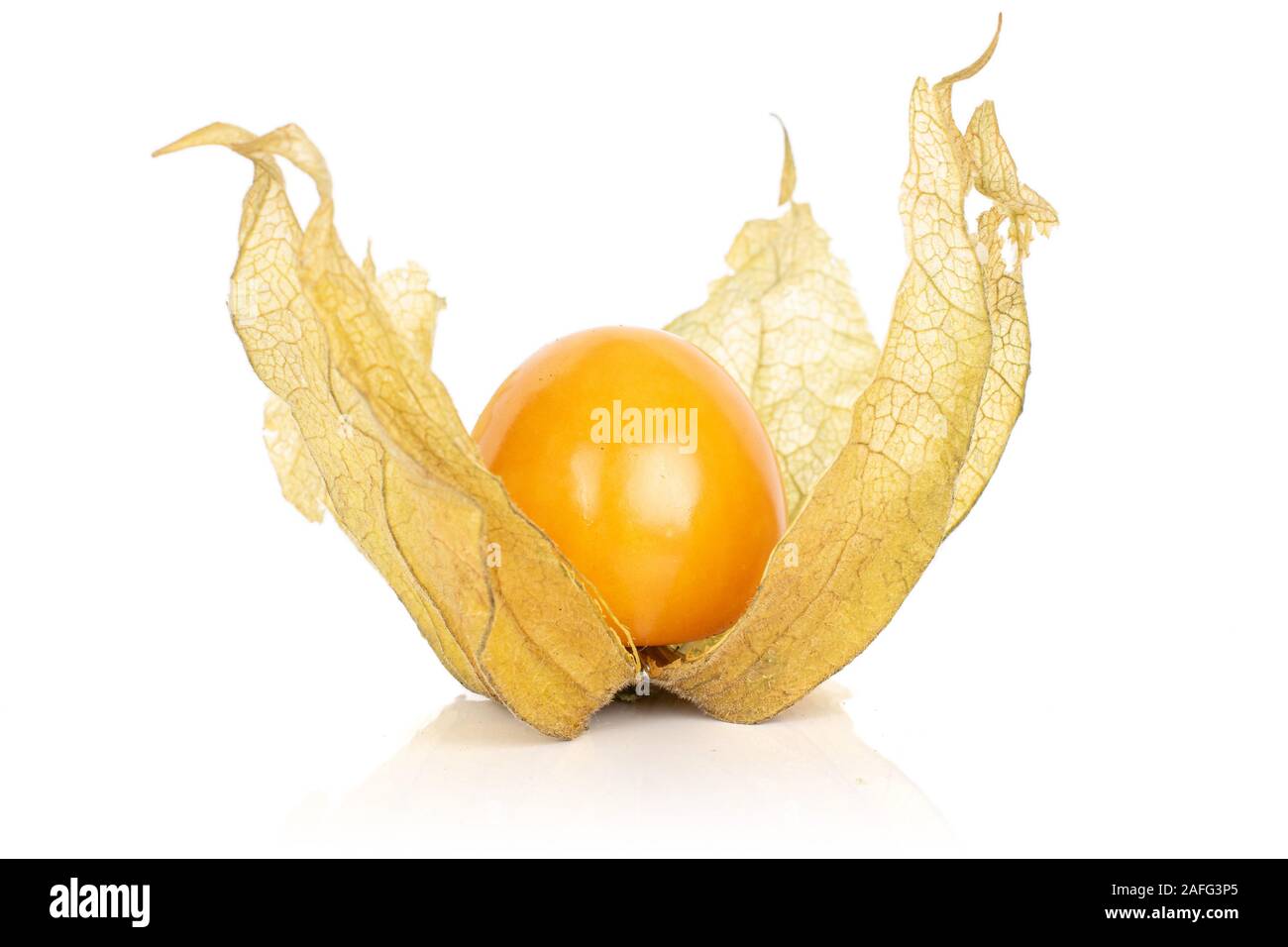 One whole open fresh orange physalis isolated on white background Stock ...