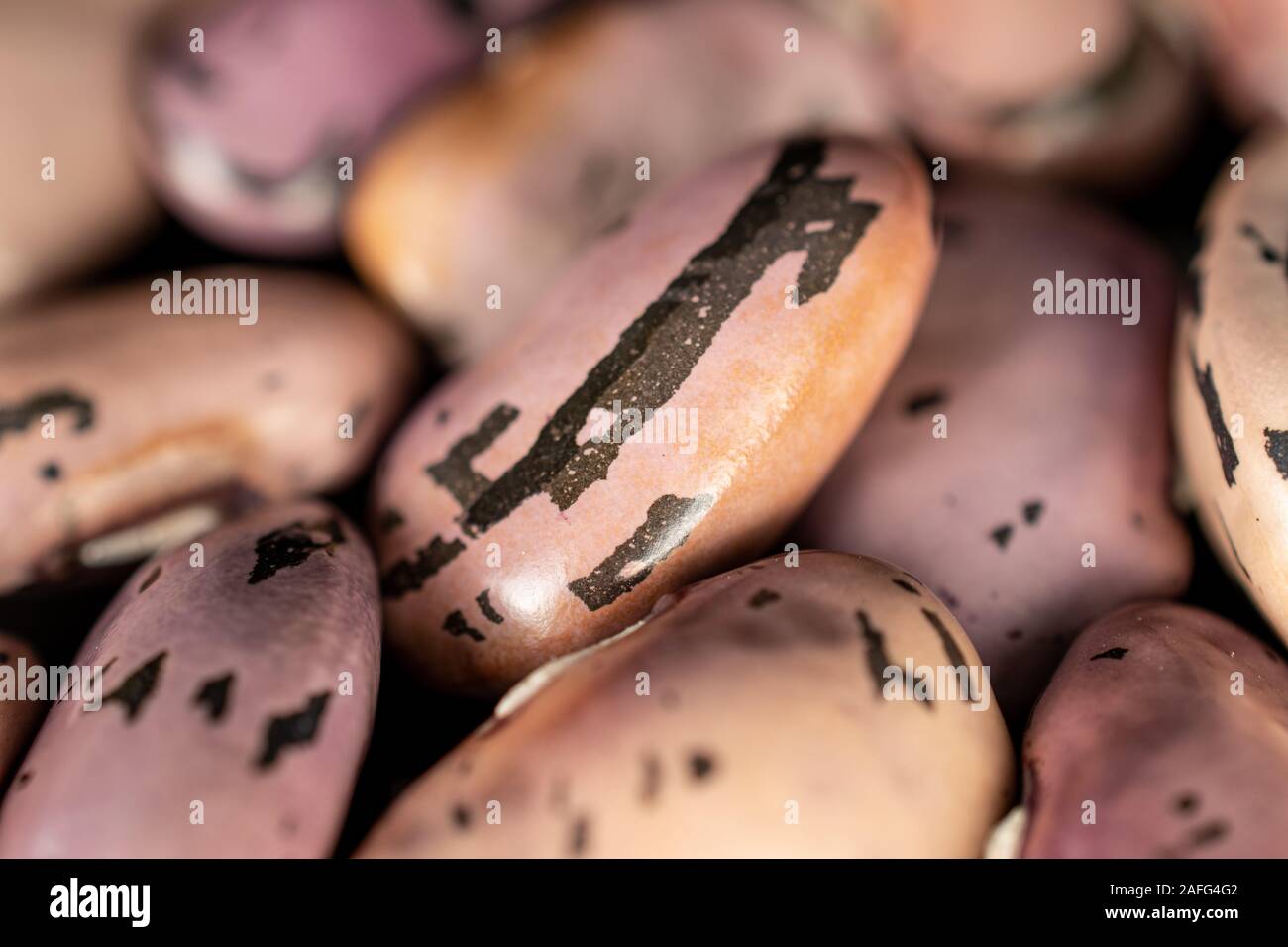 Lot of whole fresh speckled bean pinto closeup isolated Stock Photo - Alamy