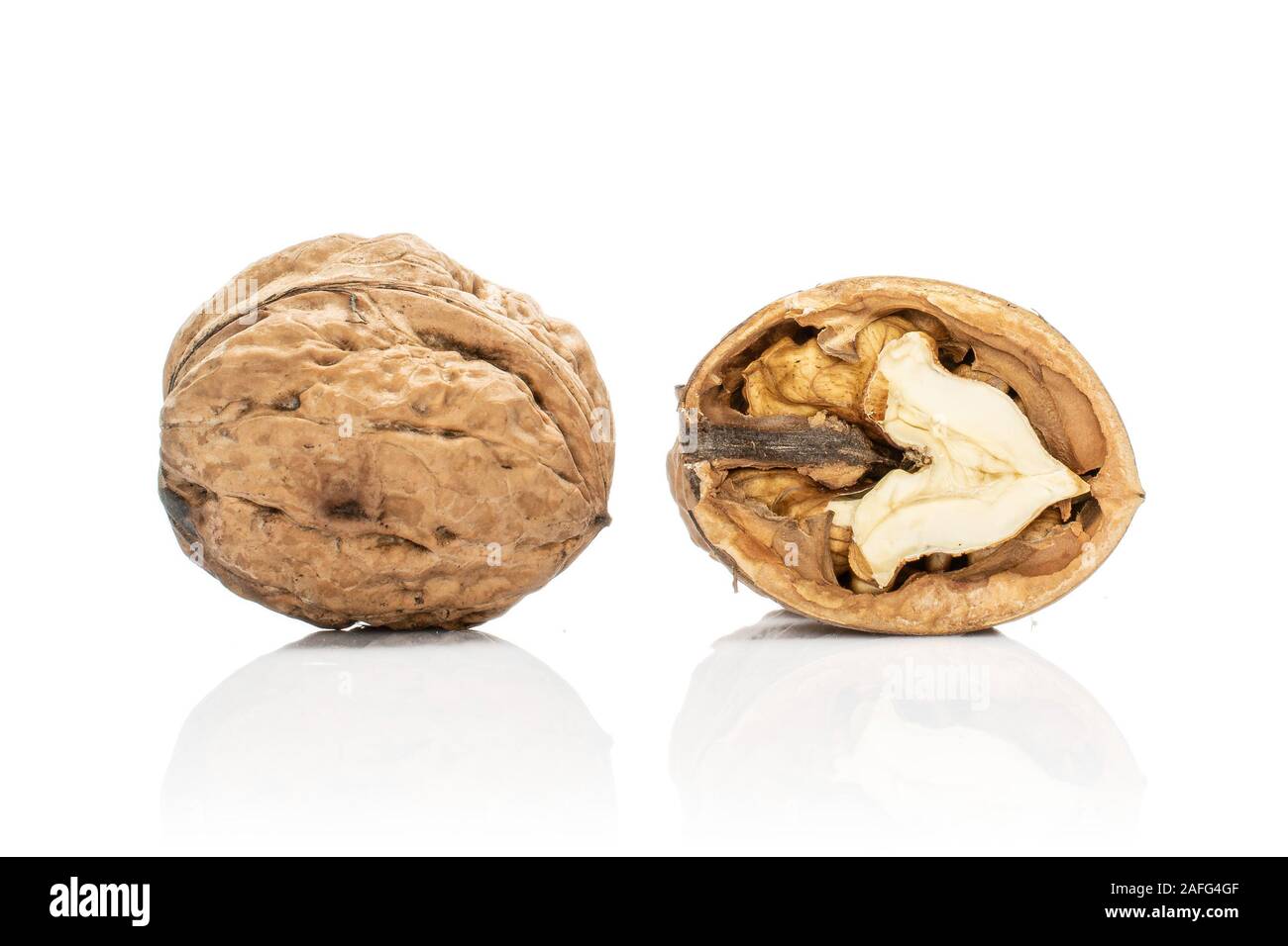 Group of one whole one half of mature fresh brown walnut isolated on ...