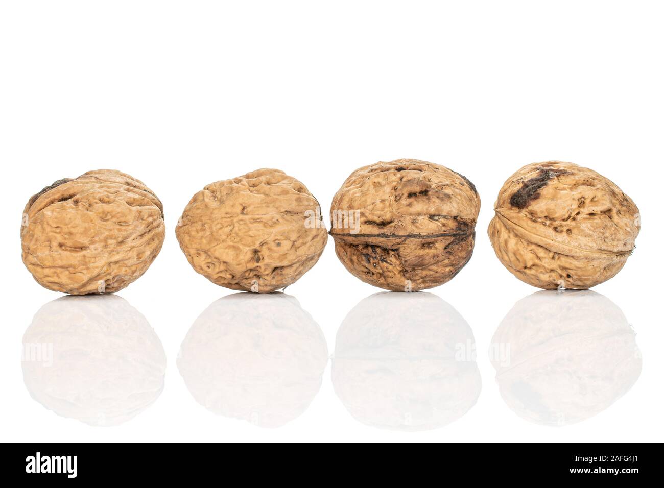 Group of four whole fresh brown walnut line isolated on white ...