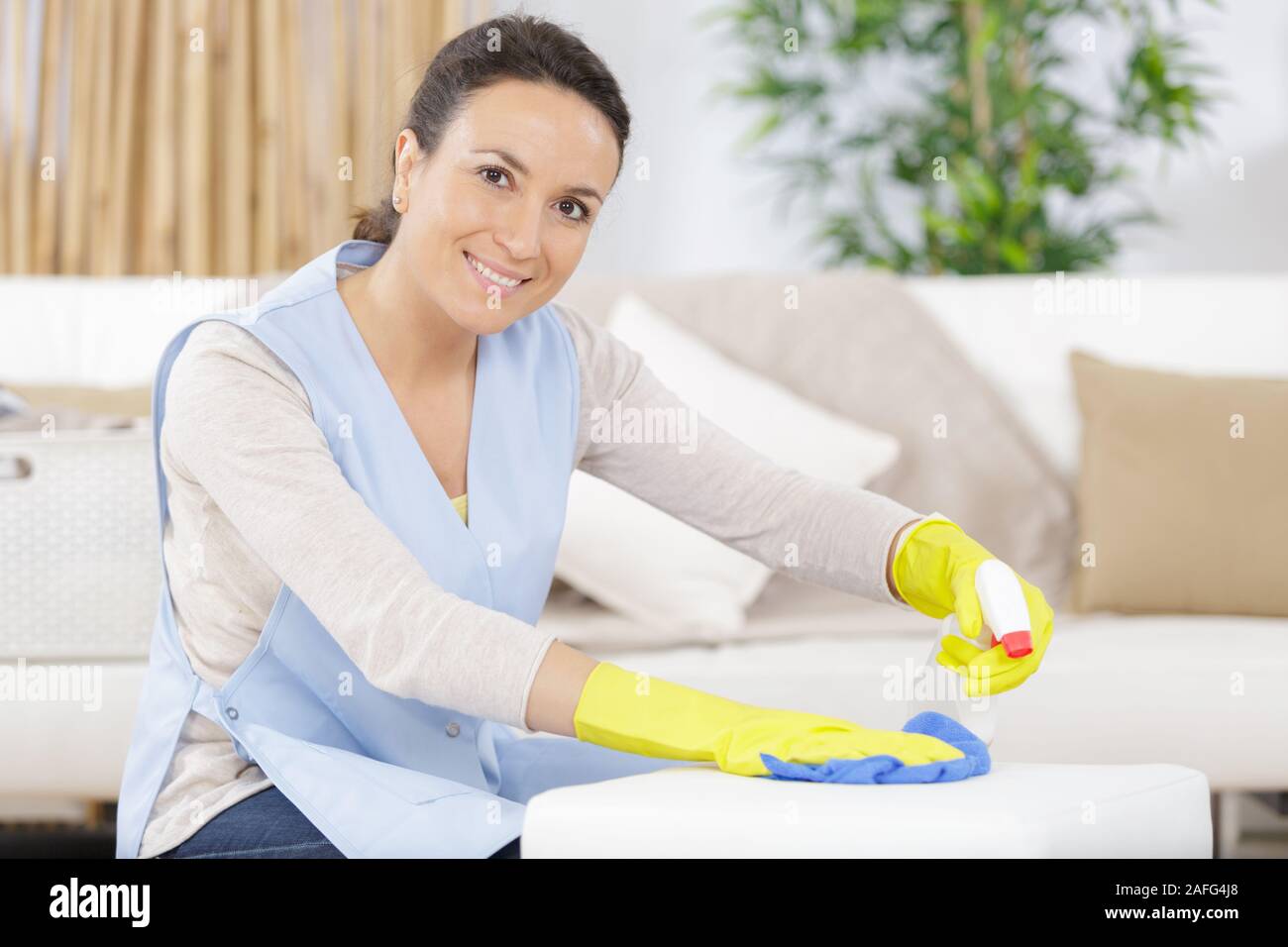 woman housekeeper holding cleaning products in kitchen Stock Photo - Alamy