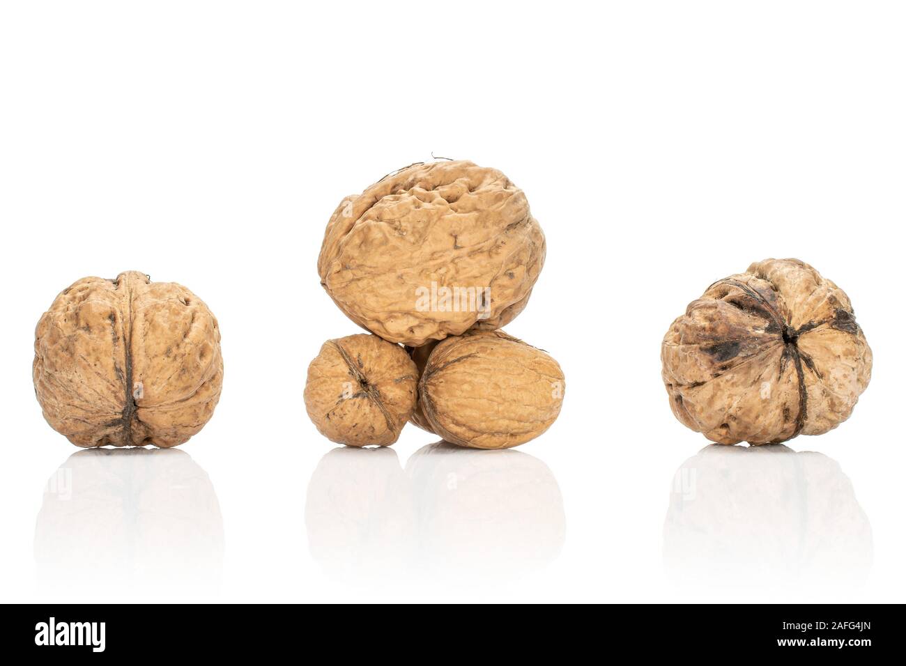Group of six whole fresh brown walnut isolated on white background ...