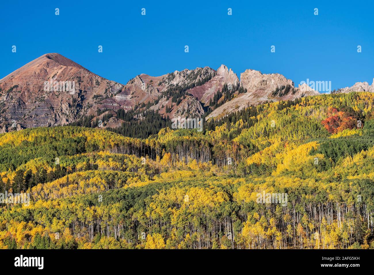 Autumn aspen color near Crested Butte, Colorado Stock Photo - Alamy