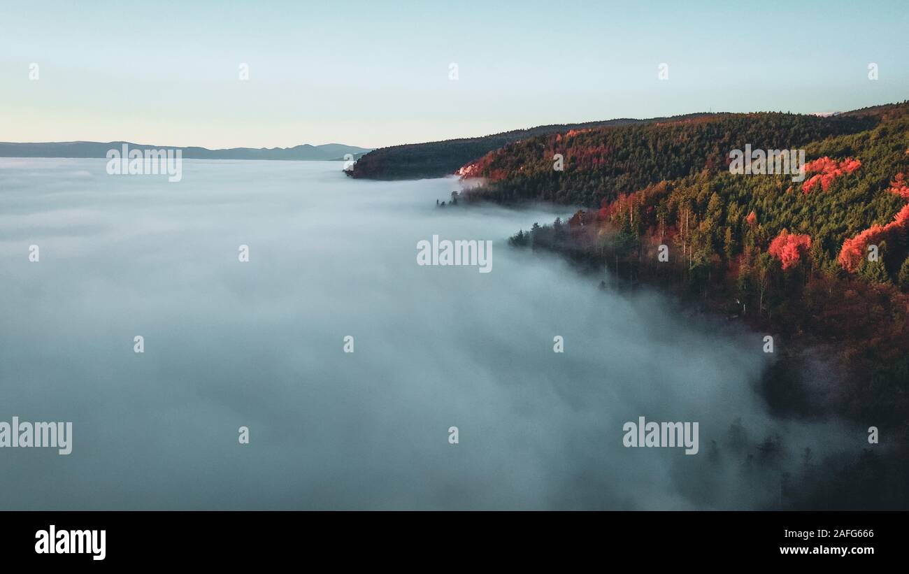 Drone top shot over forest hi-res stock photography and images - Alamy