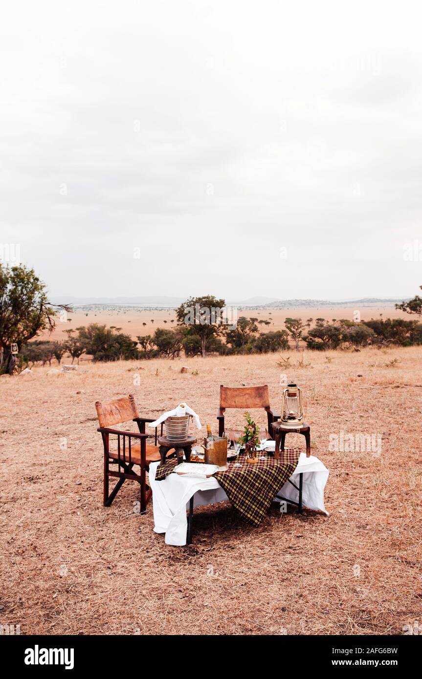 Safari luxury outdoor picnic with African style wooden director chair ...