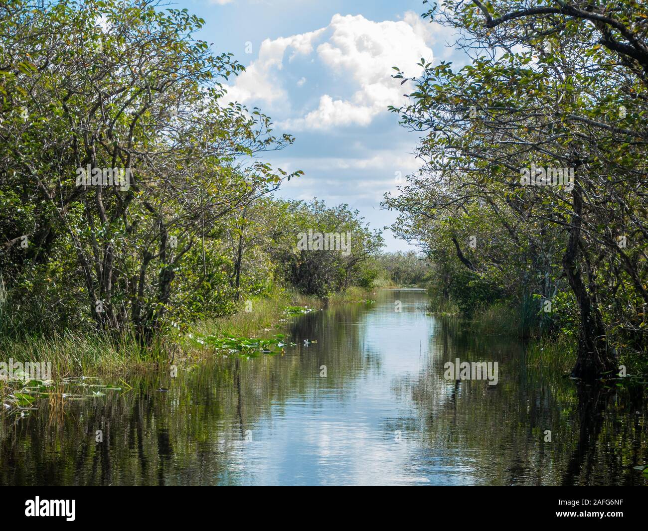 View down a water channel through trees in Everglades National Park ...