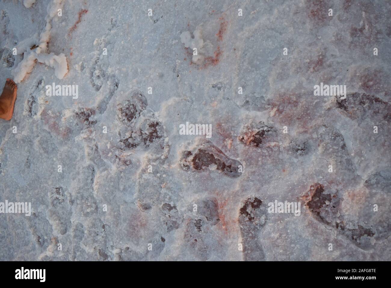 Footprints in salt hi-res stock photography and images - Alamy