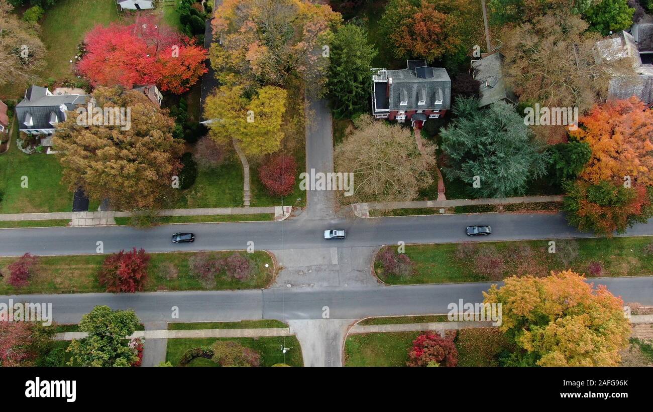 Suburban residential area with two lane road beneath alley of trees in ...