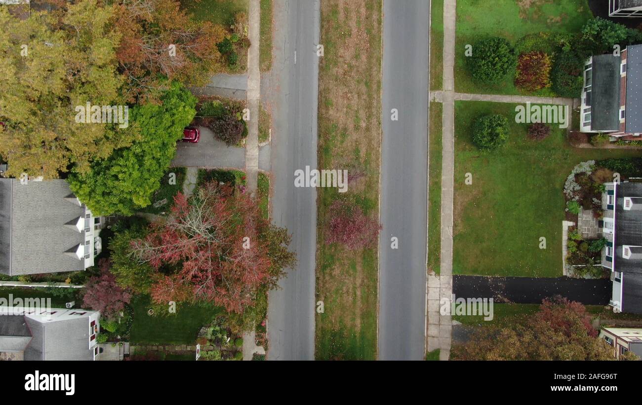 Suburban residential area with two lane road beneath alley of trees in ...
