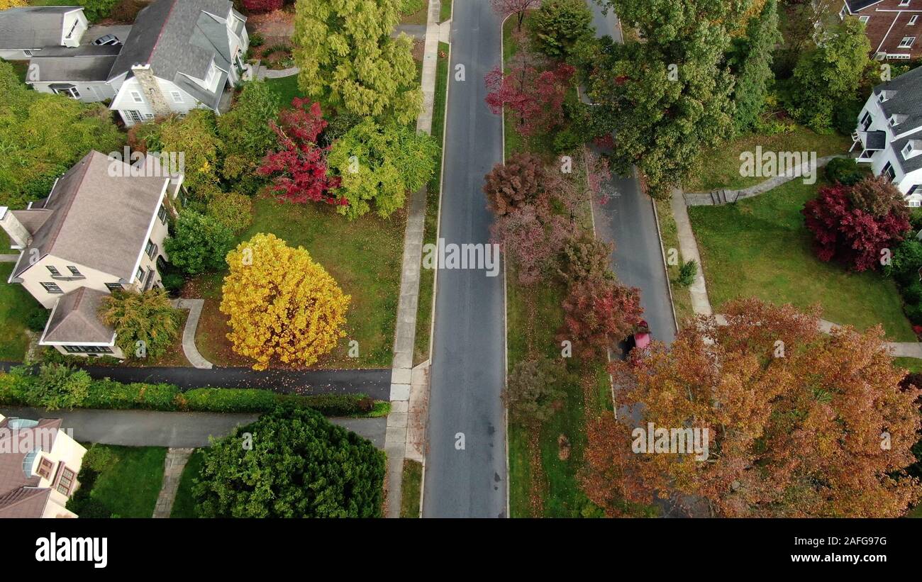 Suburban residential area with two lane road beneath alley of trees in ...