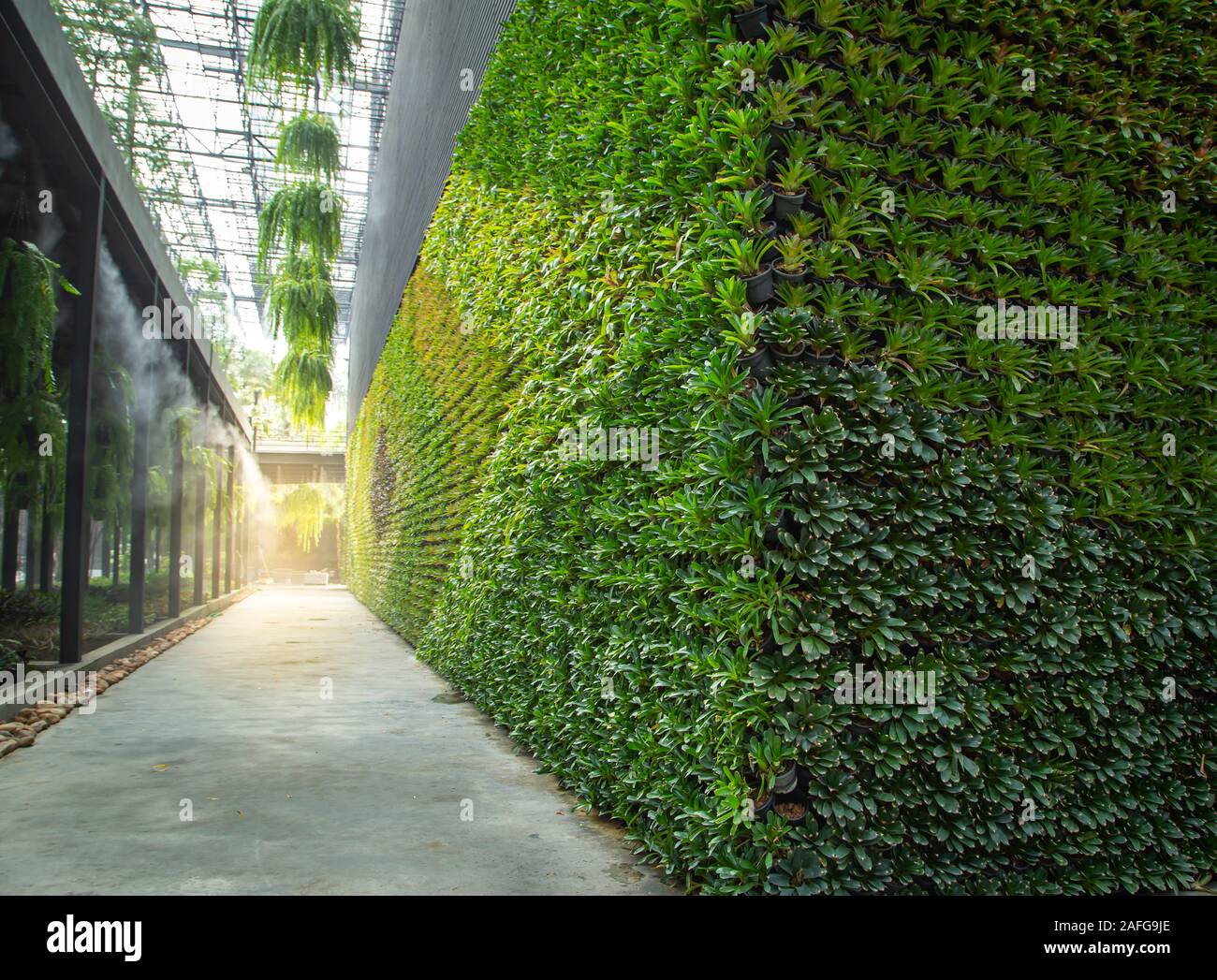 Green wall vertical garden friendly green nature design landscape in ...