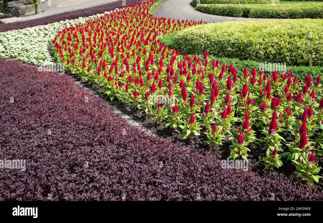 Variety In Landscape Design