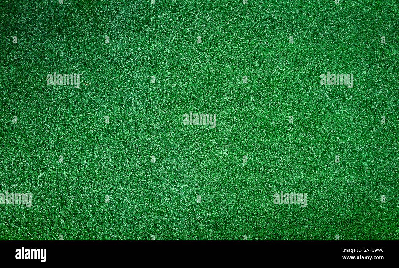 The surface of the lawn view from above. grass field top eye view ...