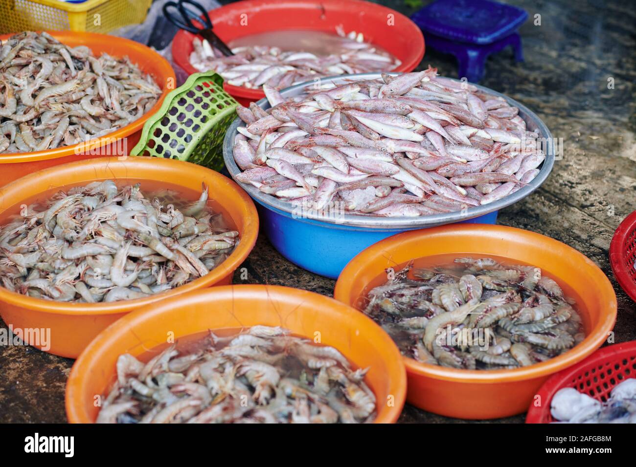 Fish basins hi-res stock photography and images - Alamy