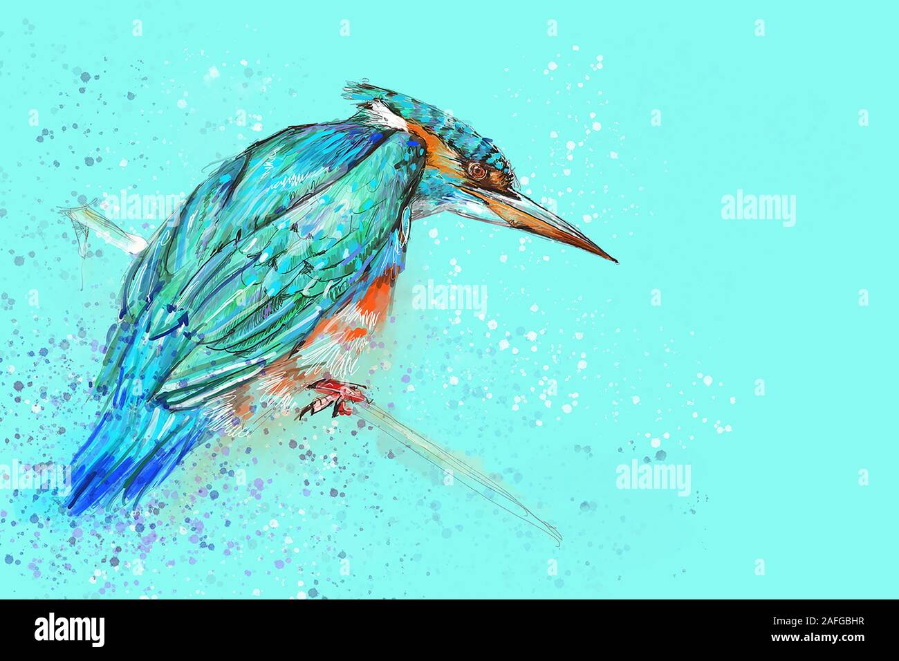 Kingfisher drawing hi-res stock photography and images - Alamy