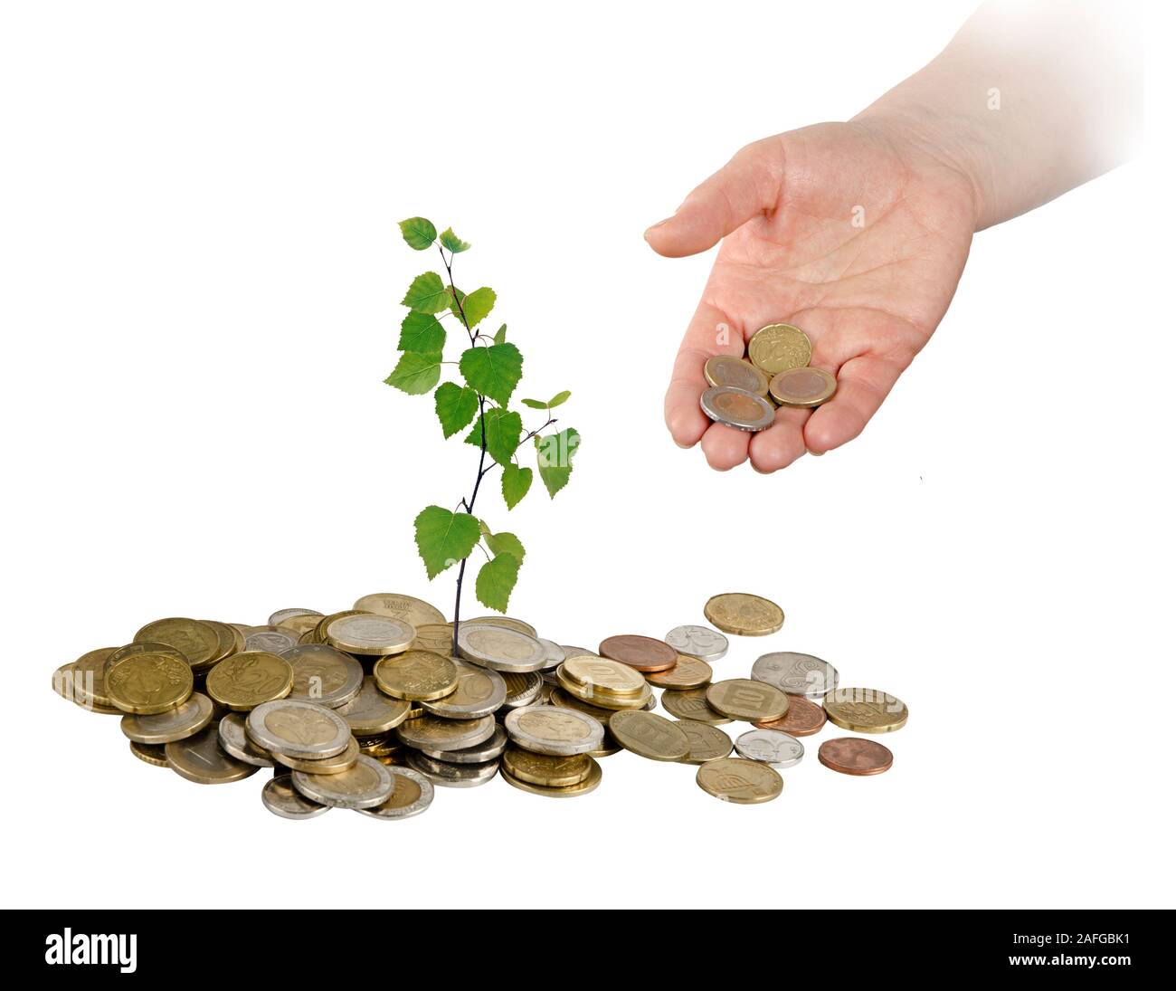 Tree growing from pile of coins Stock Photo - Alamy