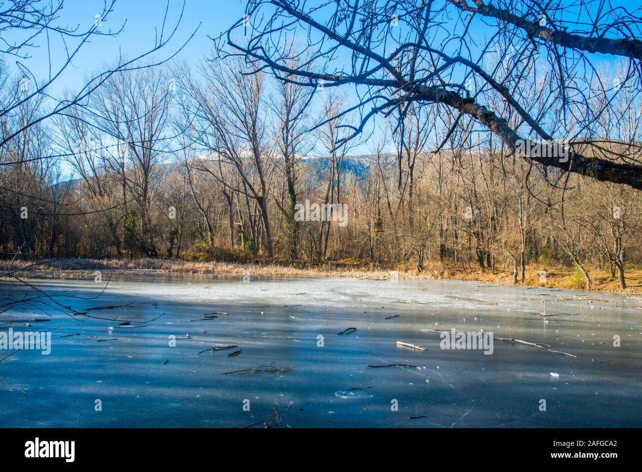 Frozen pond. Finnish Forest, Rascafria, Madrid province, Spain Stock ...