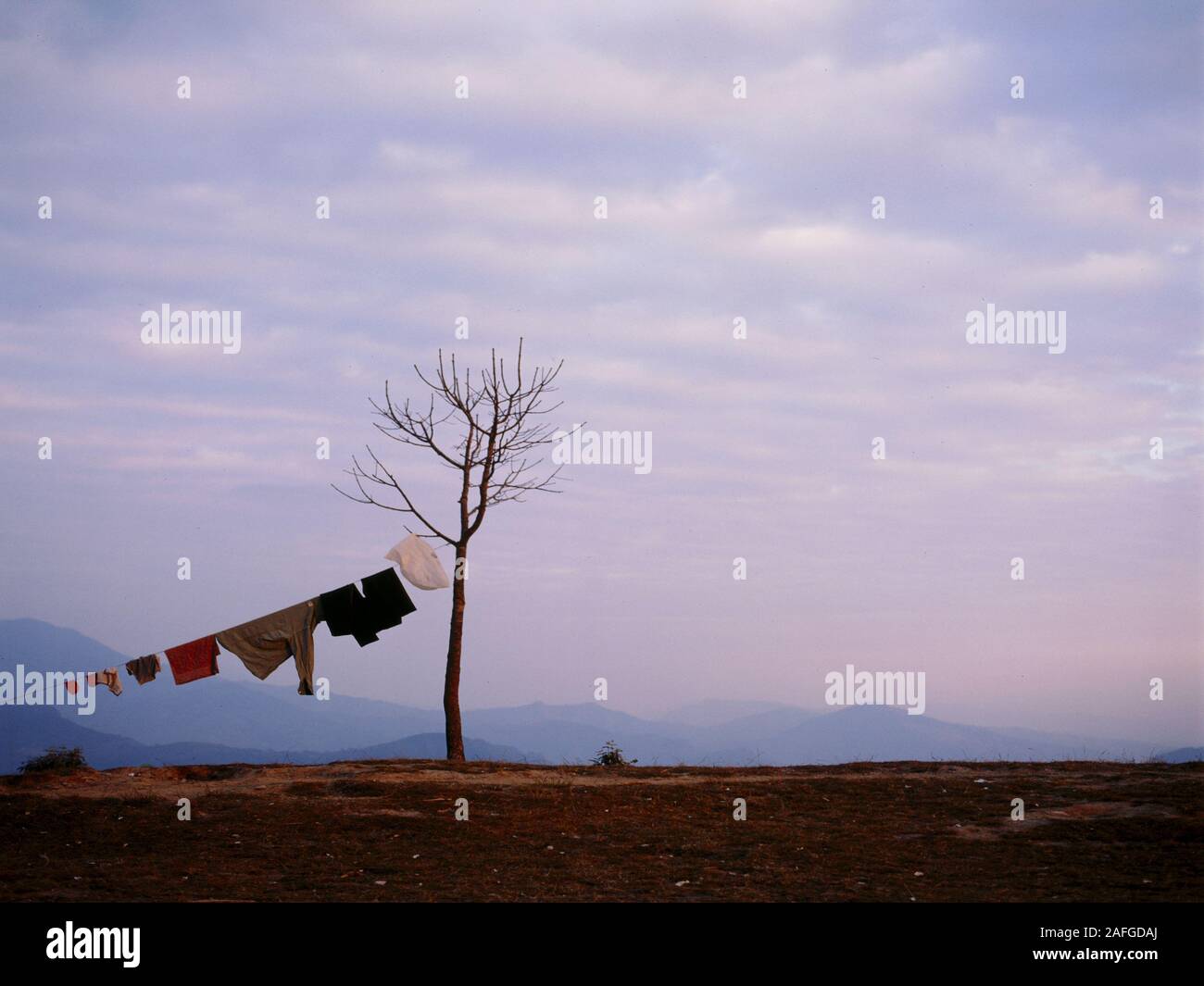 Washing line on tree Stock Photo - Alamy