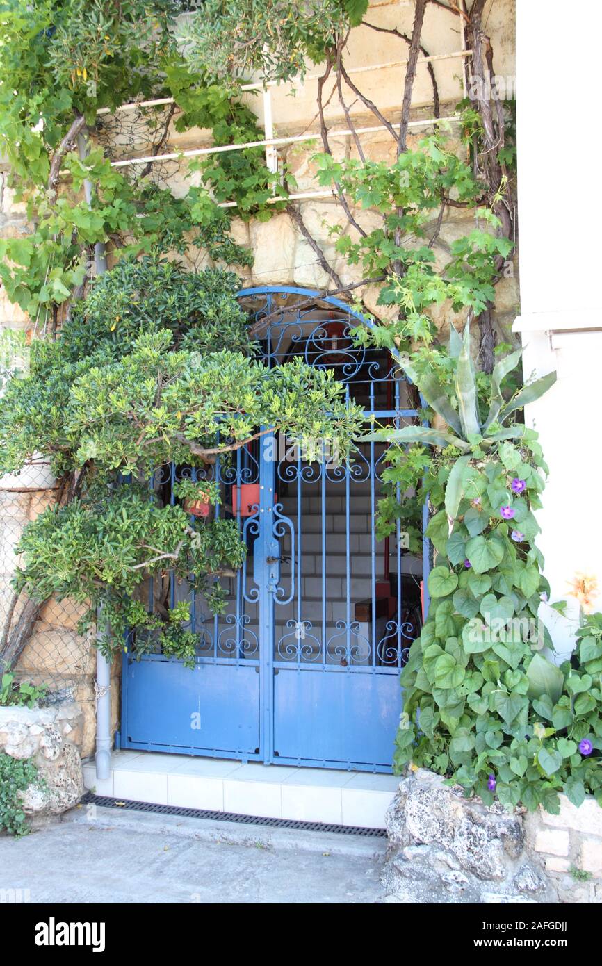 an old overgrown blue gate Stock Photo - Alamy