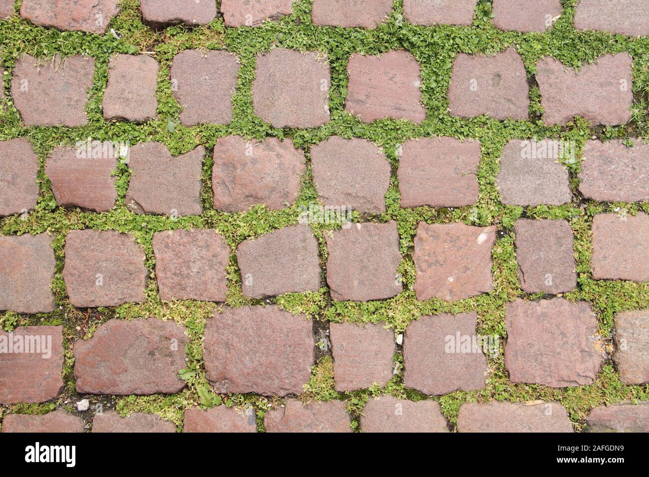red cobblestone with moss Stock Photo - Alamy