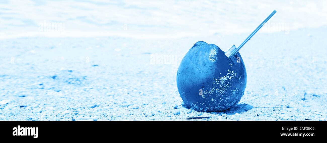 Fresh coconut on the beach. 2020 trendy color background. Classic blue ...