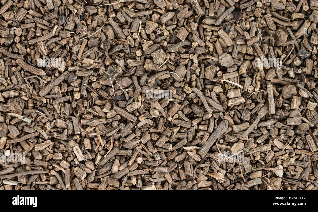 Dried Valerian roots as background image or as texture (close-up shot ...