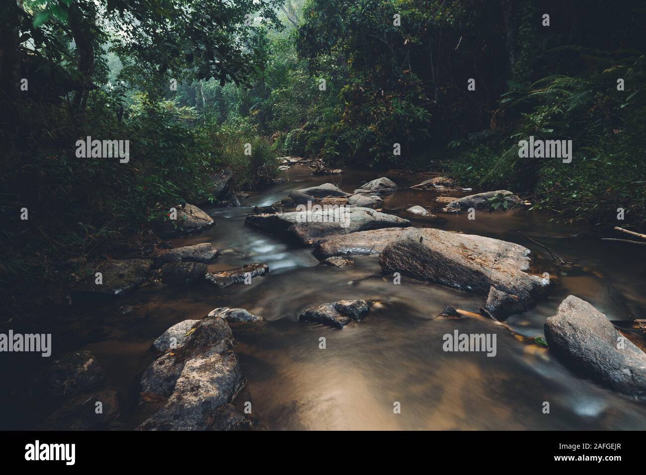 River in nature in the morning,Refreshing Stock Photo - Alamy
