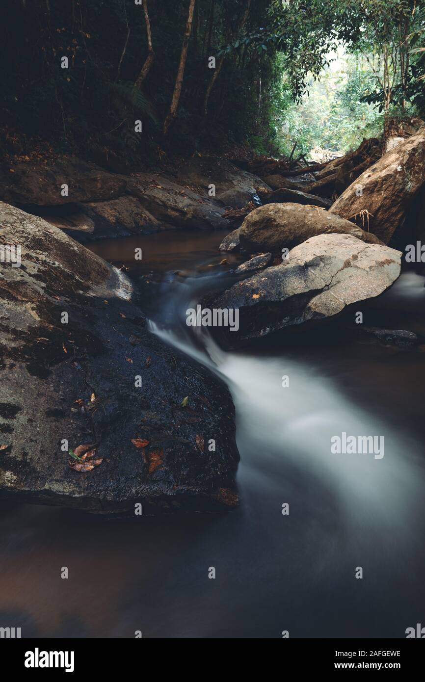 River in nature in the morning,Refreshing Stock Photo - Alamy