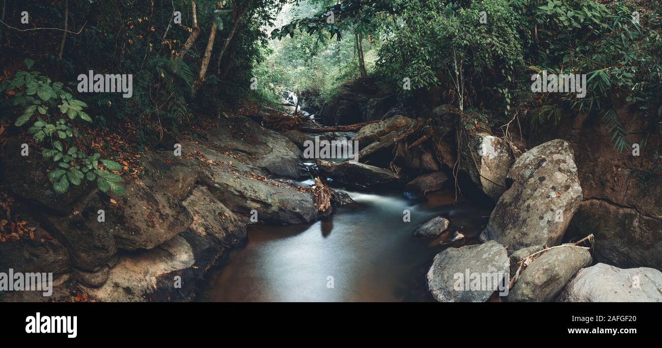 River in nature in the morning,Refreshing Stock Photo - Alamy