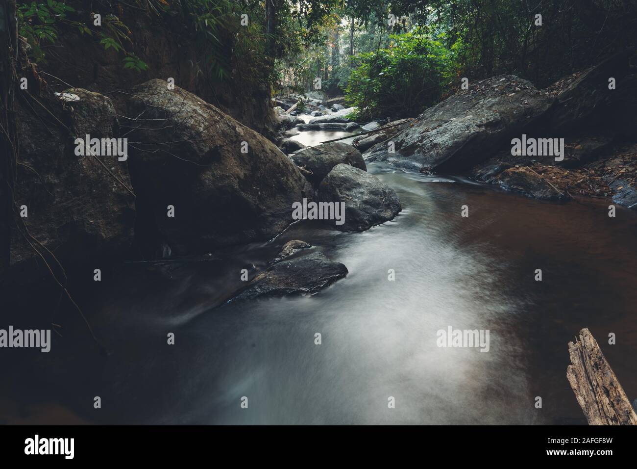 River in nature in the morning,Refreshing Stock Photo - Alamy