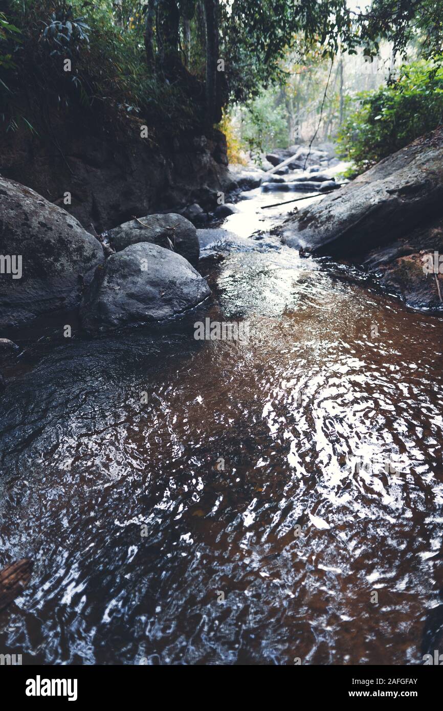 River in nature in the morning,Refreshing Stock Photo - Alamy