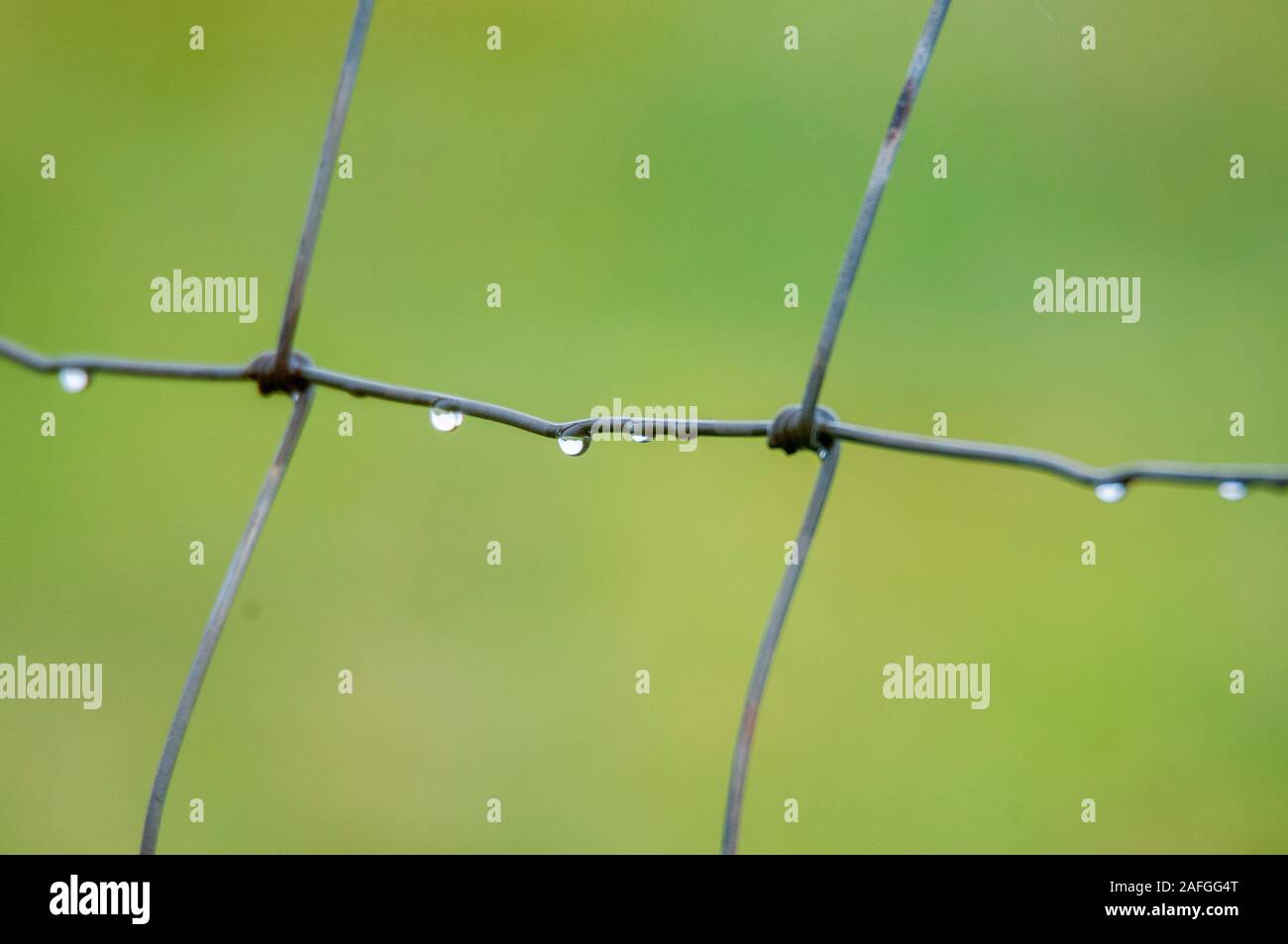 Rain drops on wire fence Stock Photo - Alamy