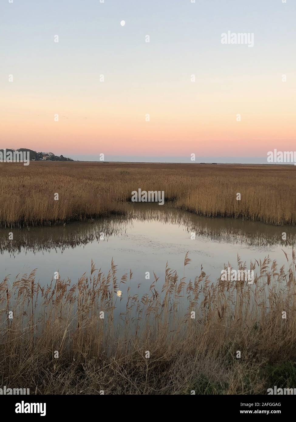 Blue sky over reed beds hi-res stock photography and images - Alamy