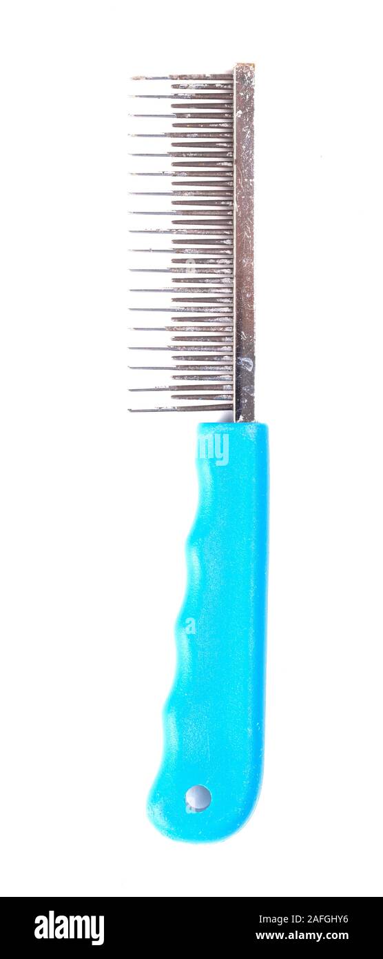 Comb with blue handle for animals with long hair, isolated Stock Photo ...