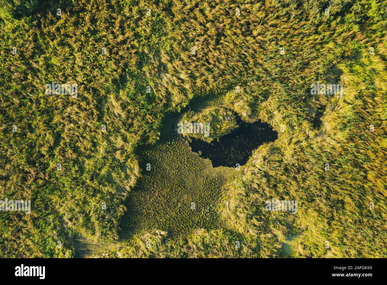 Aerial View Of Green Grass Landscape. Top View From High Attitude In ...