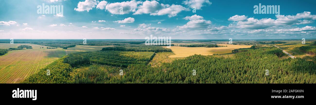 Aerial View Of Agricultural Landscape With Fields And Forest In Spring ...