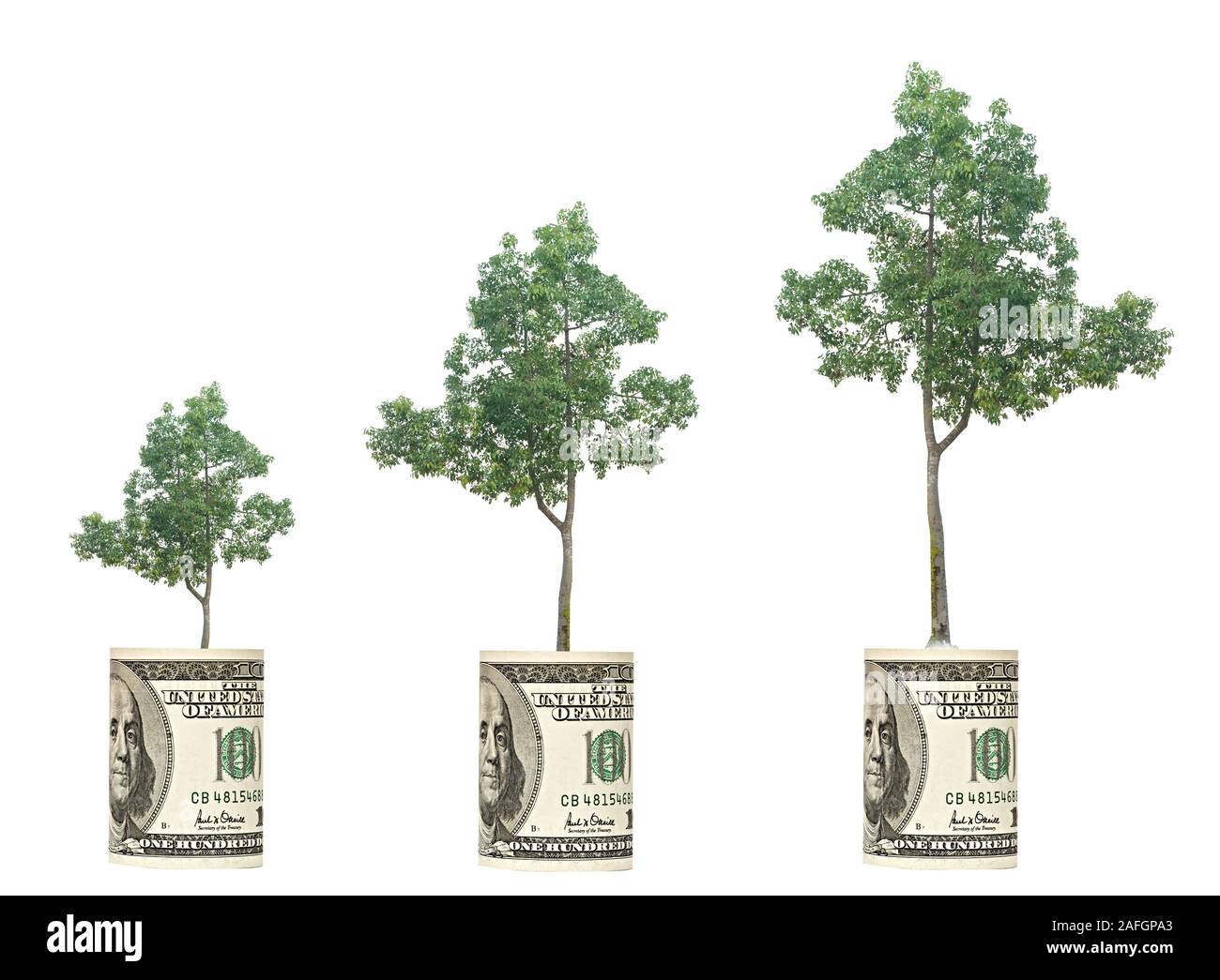 Three trees growing from dollar bill Stock Photo - Alamy