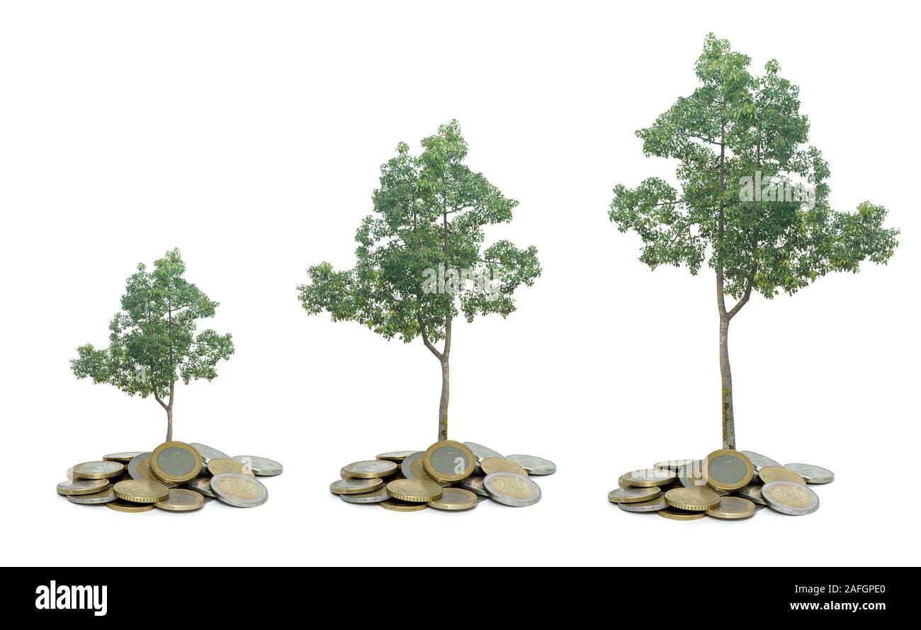 Three trees growing from pile of coins Stock Photo - Alamy