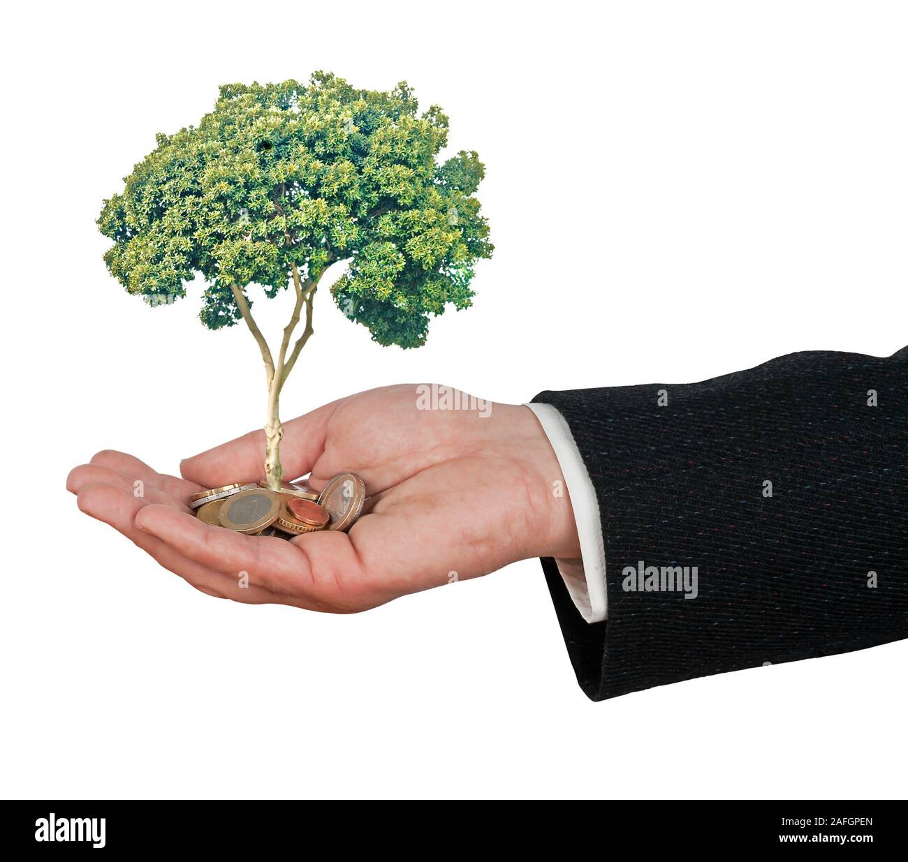 tree growing from pile of coins Stock Photo - Alamy