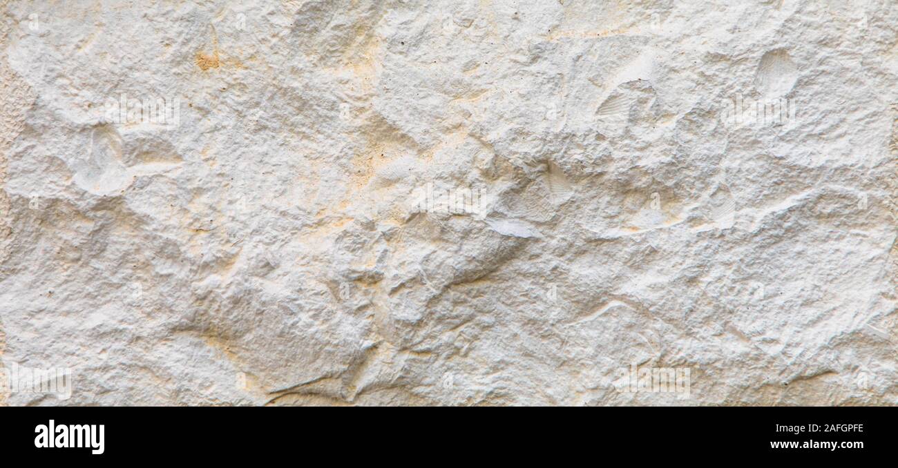 Natural limestone and surface background Stock Photo - Alamy