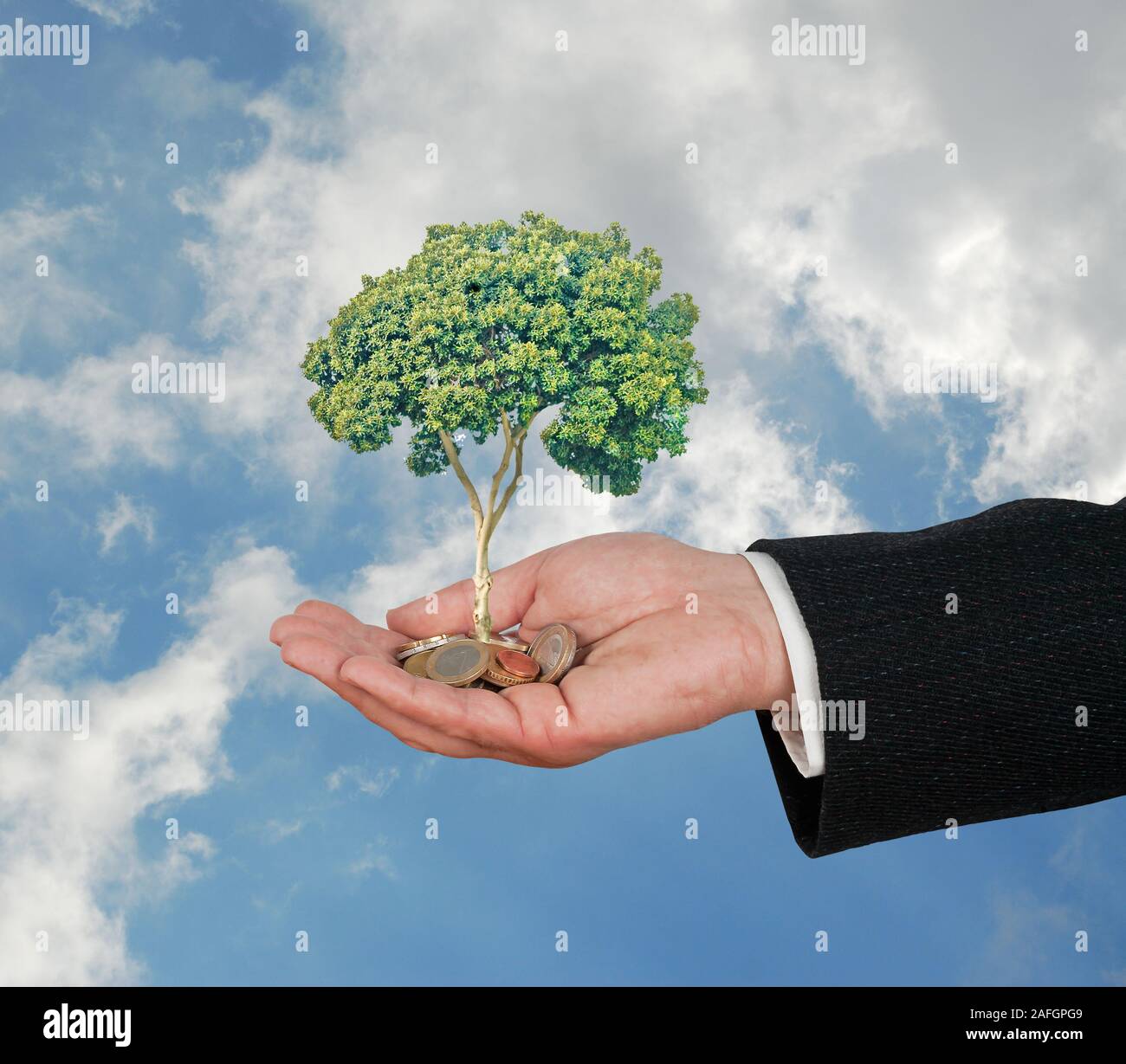 tree growing from pile of coins Stock Photo - Alamy