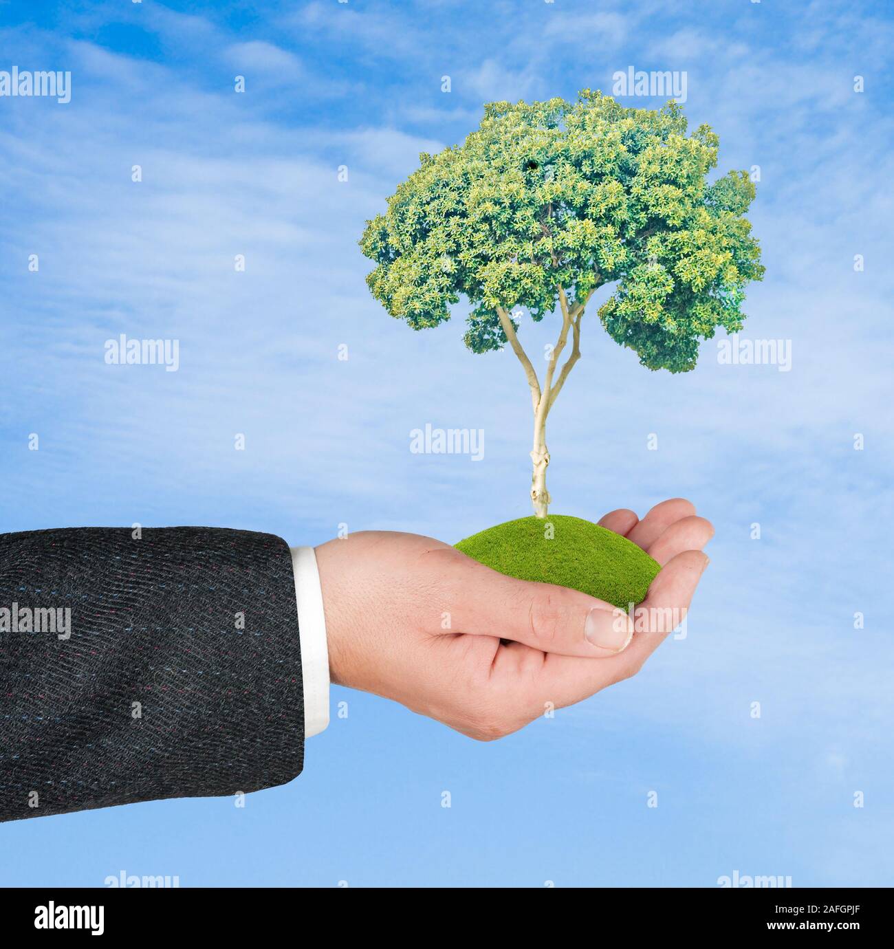 tree in hand Stock Photo - Alamy