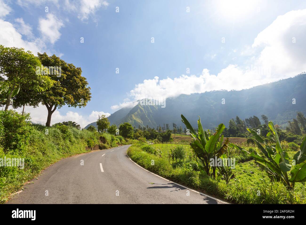 Green tropical landscapes in Java island, Indonesia Stock Photo - Alamy