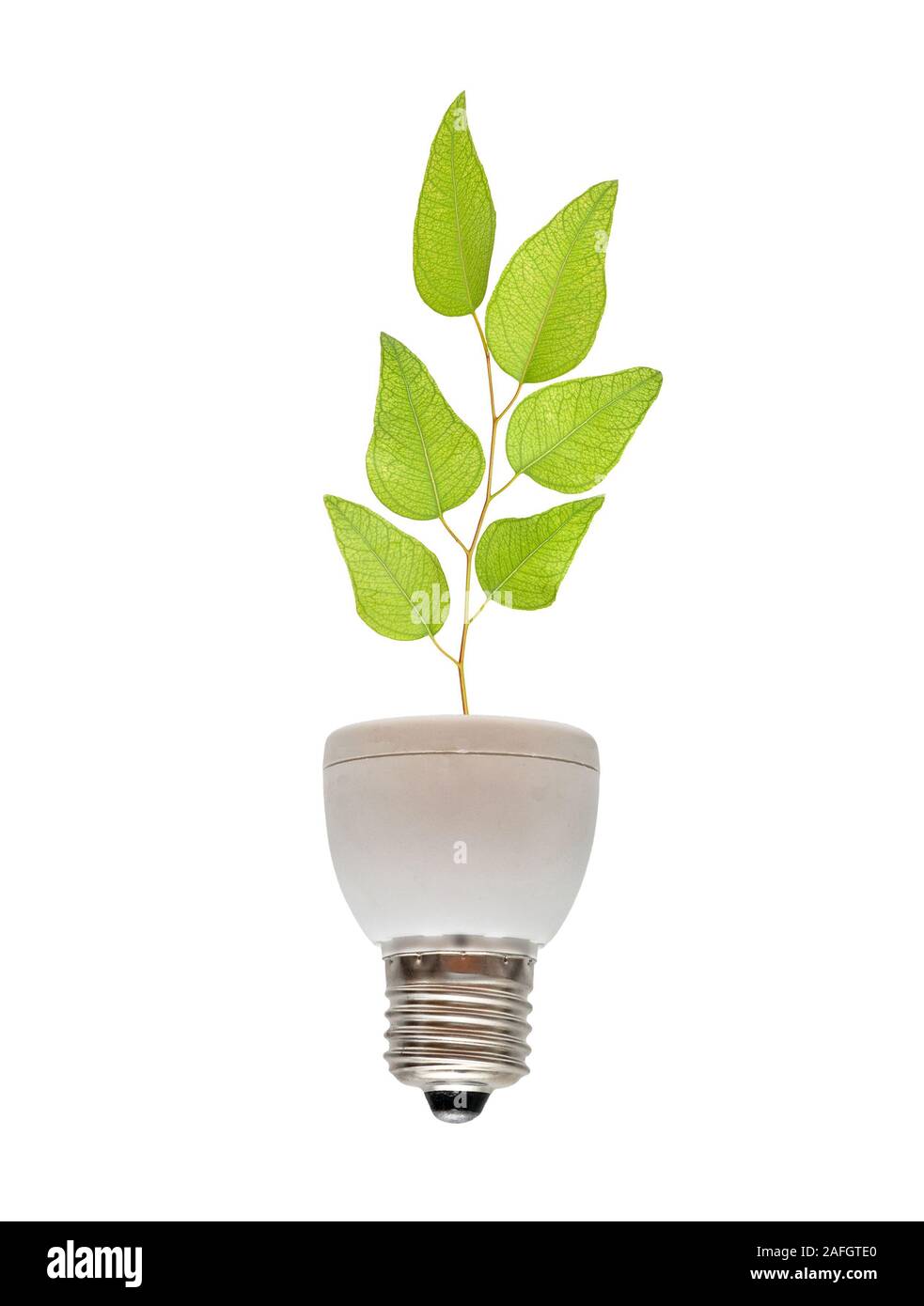 Tree growing from base of fluorescent lamp Stock Photo - Alamy Tree growing from base of fluorescent lamp Stock Photo - Alamy
