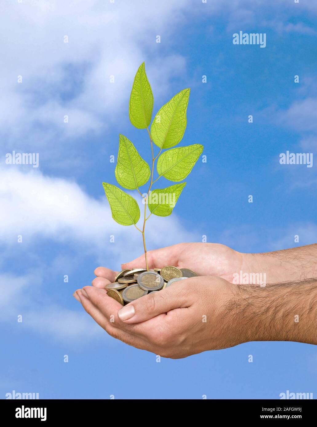 Hands with a tree growing from pile of coins Stock Photo - Alamy
