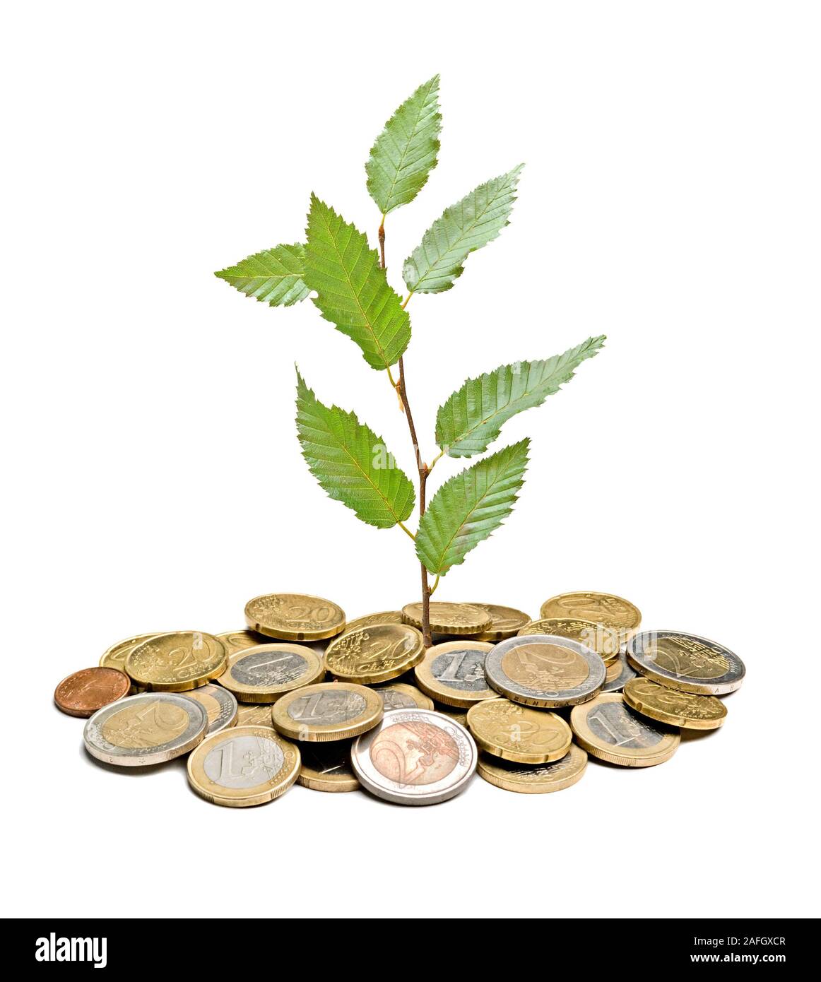 Tree growing from pile of coins Stock Photo - Alamy