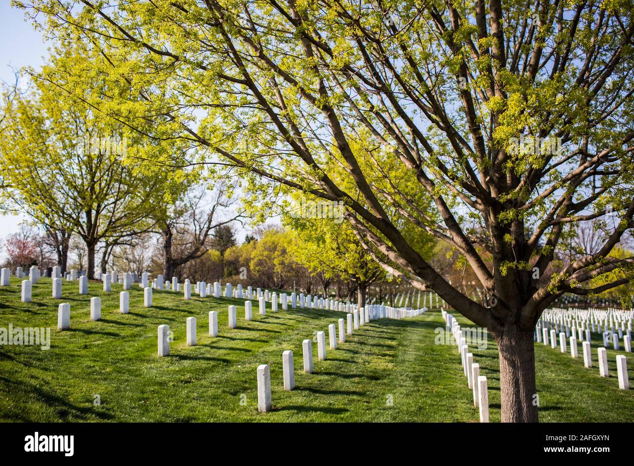 Arlington Cemetery surrounded by trees and greenery under a blue sky in ...