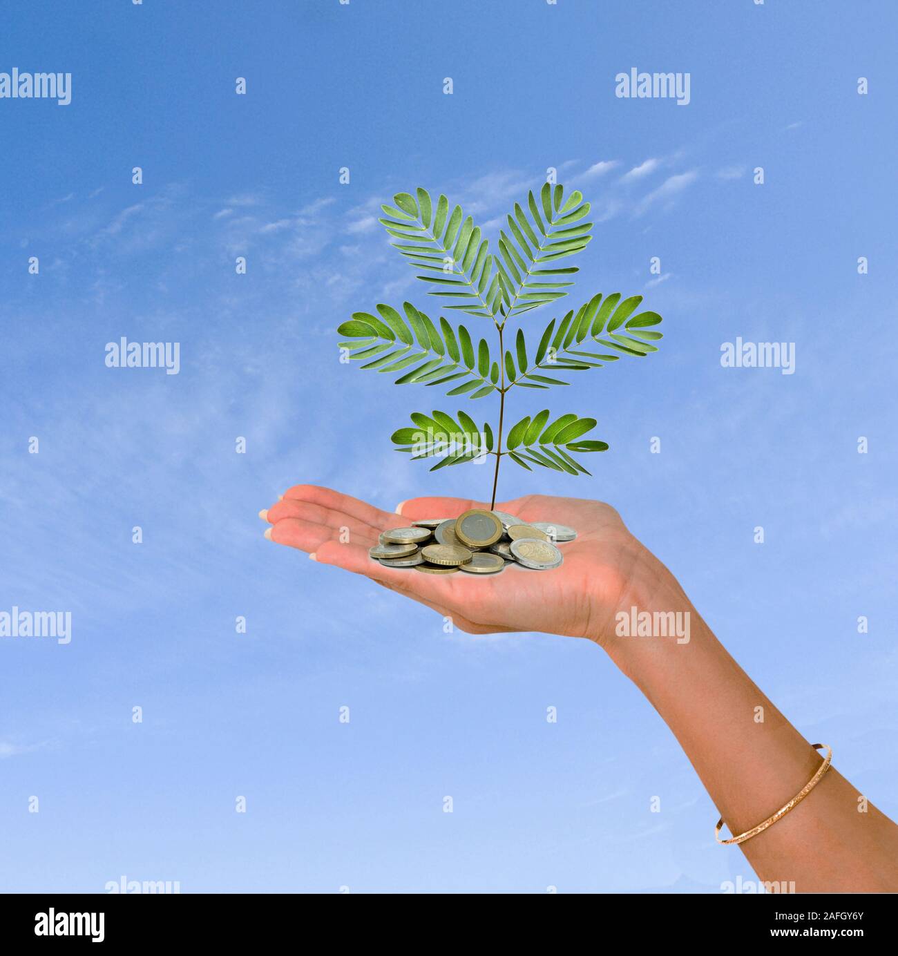 Palm with a tree growing from pile of coins Stock Photo - Alamy