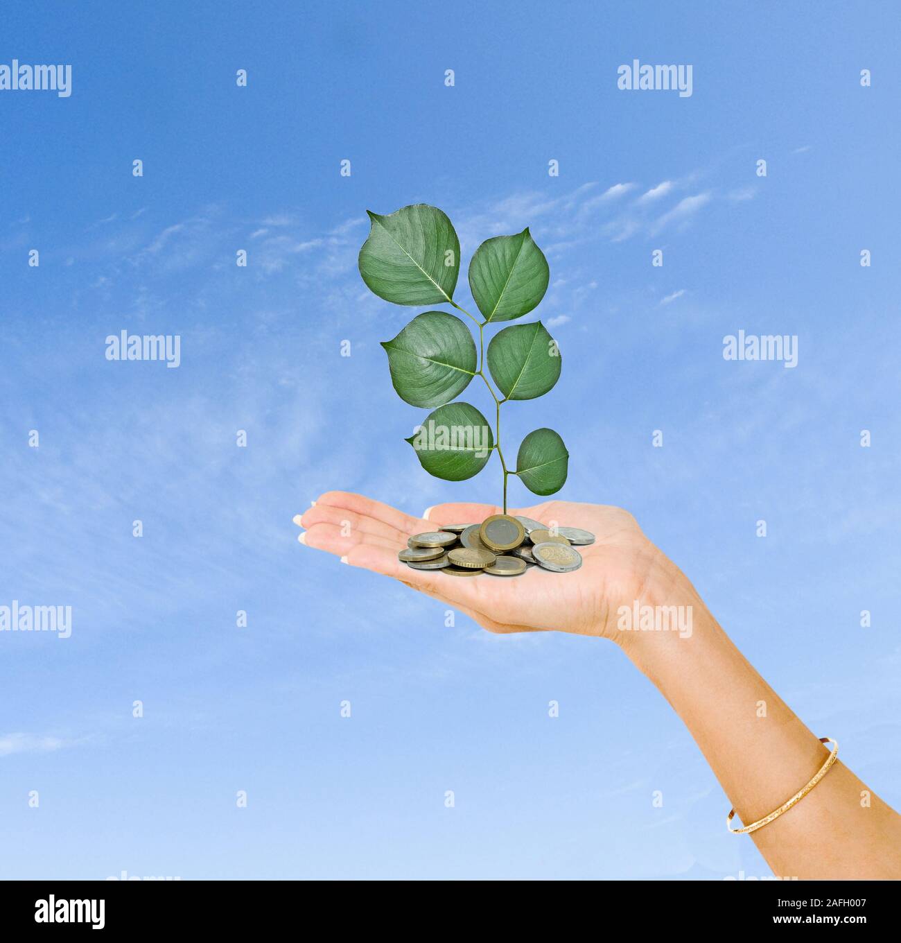 Palm with a tree growing from pile of coins Stock Photo - Alamy