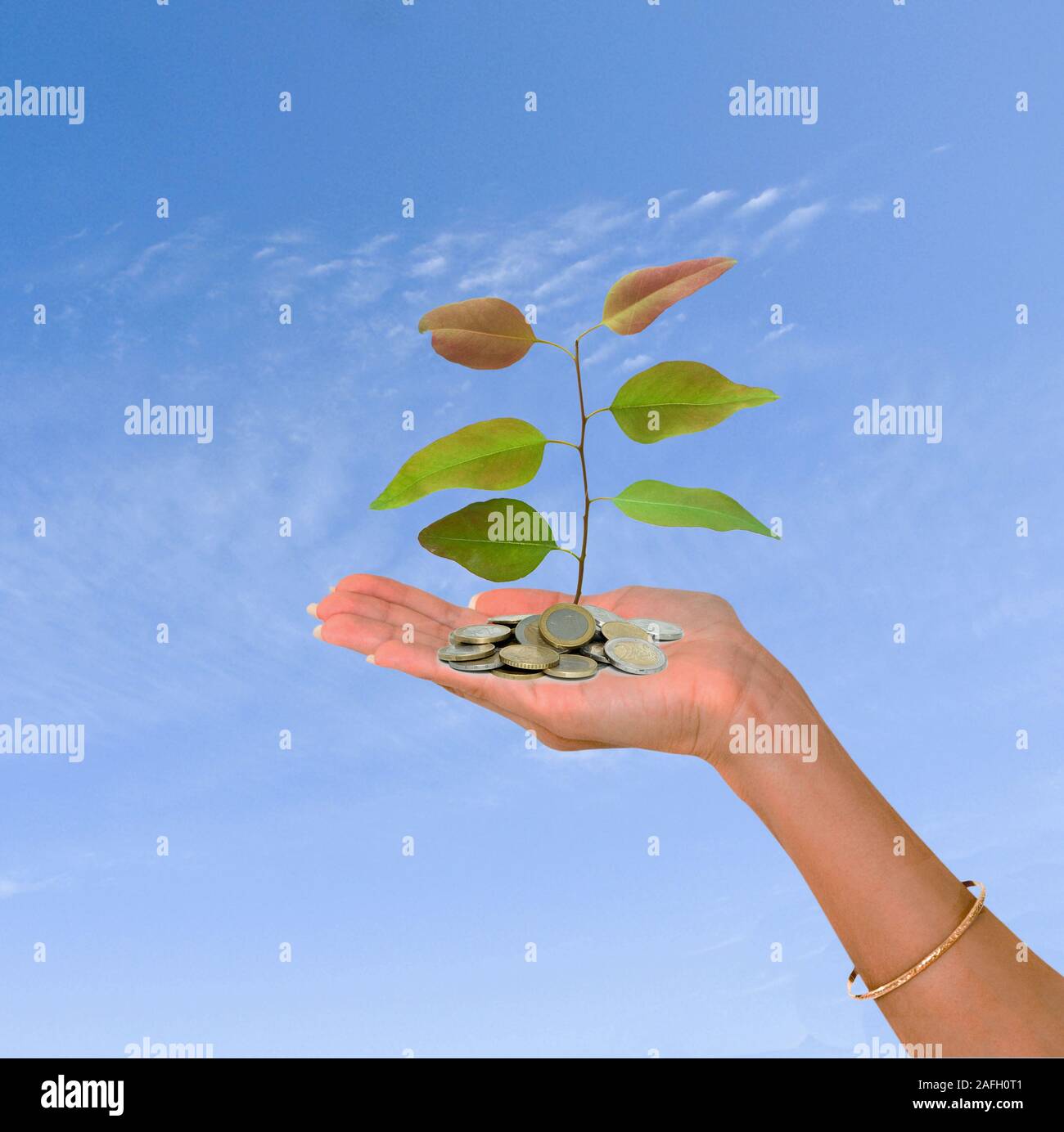 Palm with a tree growing from pile of coins Stock Photo - Alamy